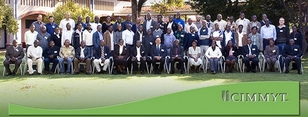 Stress Tolerant Maize for Africa » Breeding hope: DTMA breeding course ...